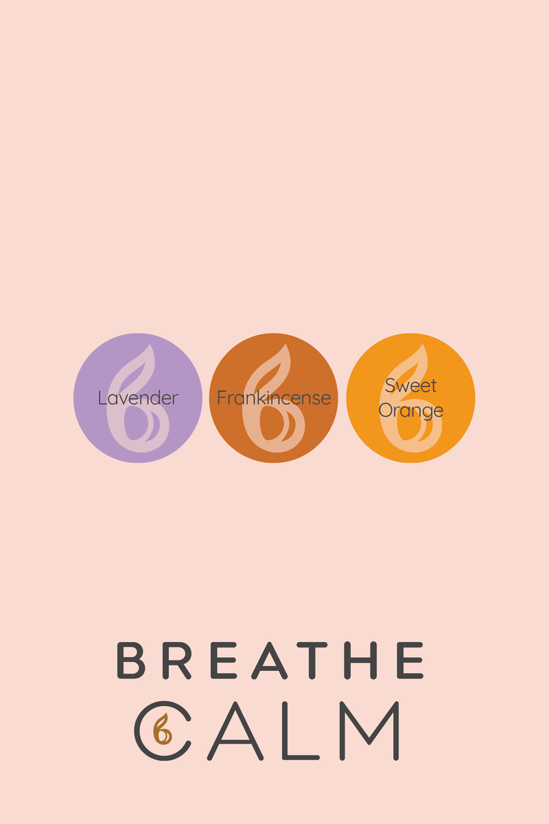 With you every step of the day Essential Oil Sets | Signature Scents ...